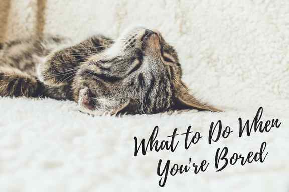 14 Things to Do When You're Bored - HubPages