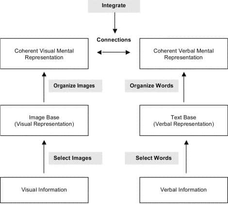 Influence of Visual Aids in Strengthening the Learning Process - Owlcation