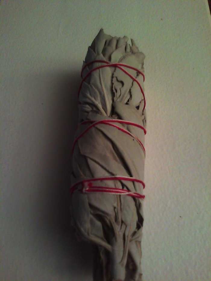 How to Perform a Sage Cleanse - RemedyGrove