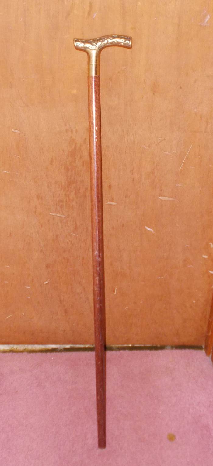 7 Uses for Canes for People With Disabilities and More - HealthProAdvice