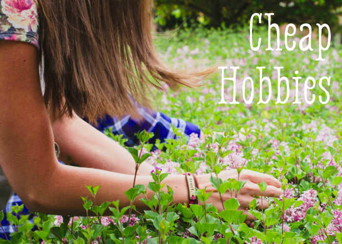 150+ Hobby Ideas Broken Down by Interest and Personality - HubPages