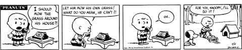7 Things You May Not Know About Snoopy From Charlie Brown - HubPages