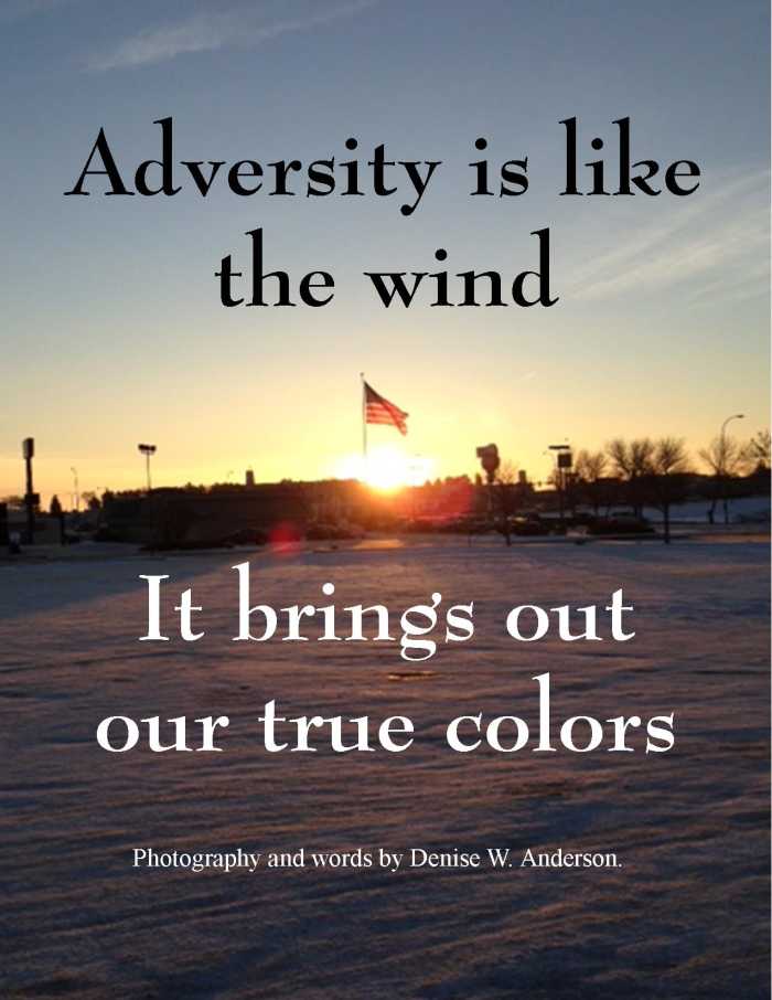 Types of Adversity - HubPages