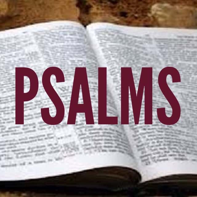 How to Study the Psalms - HubPages