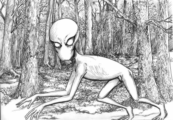 The Mystery of the Dover Demon - HubPages