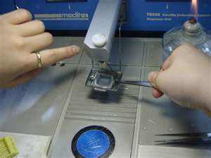 What Goes on in a Histology Lab and What It Means for Patients ...