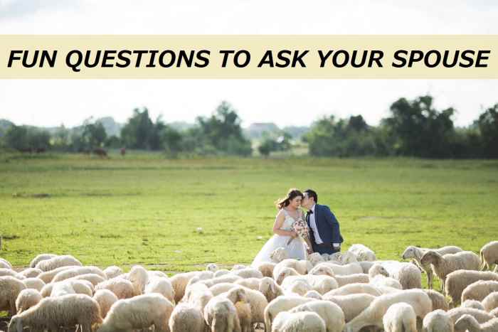 150+ Fun Questions to Ask Your Spouse - HubPages