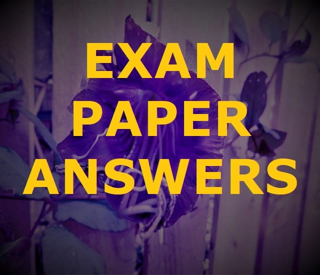 The Funniest Exam Paper Answers - LetterPile