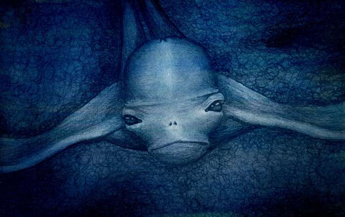 The Ningen: Monster of the Antarctic - HubPages