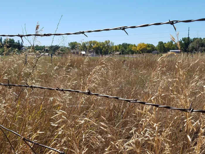 Doing Your Inner Work: Dissolving Generational Strongholds - HubPages