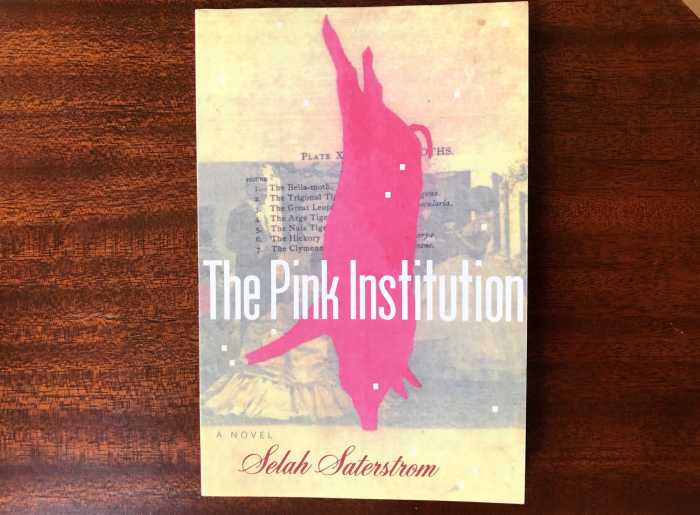 4 Hybrid or Cross-Genre Experimental Books by Women - Owlcation