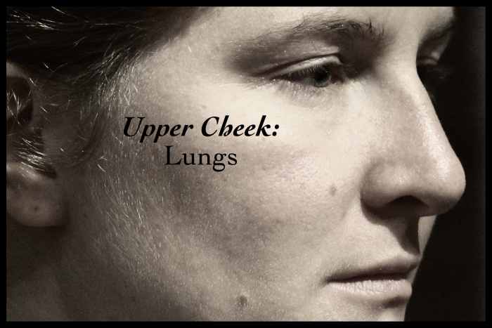 Face Mapping: What Are Your Acne Breakouts Telling You? - HubPages