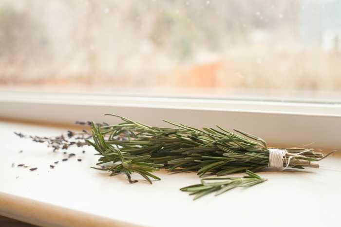 7 Causes of Chronic Body Odor Even After Bathing - HubPages