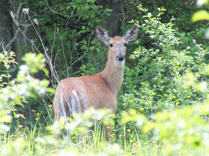 How to Create a 3D Image From a 2D Photo - HubPages