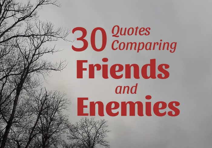 30 Quotes Comparing Friends and Enemies - HubPages