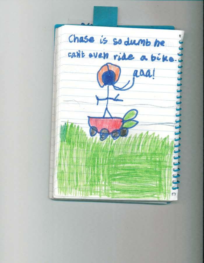 Diary of a MAD 7 Year Old - Effective Anger Management Strategies for ...