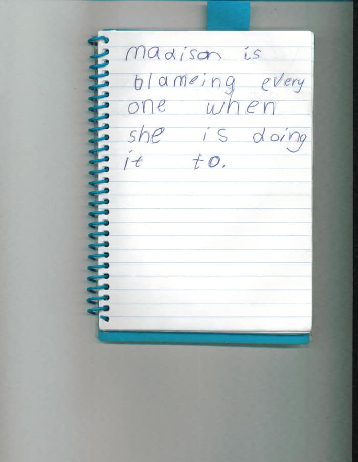 Diary of a MAD 7 Year Old - Effective Anger Management Strategies for ...