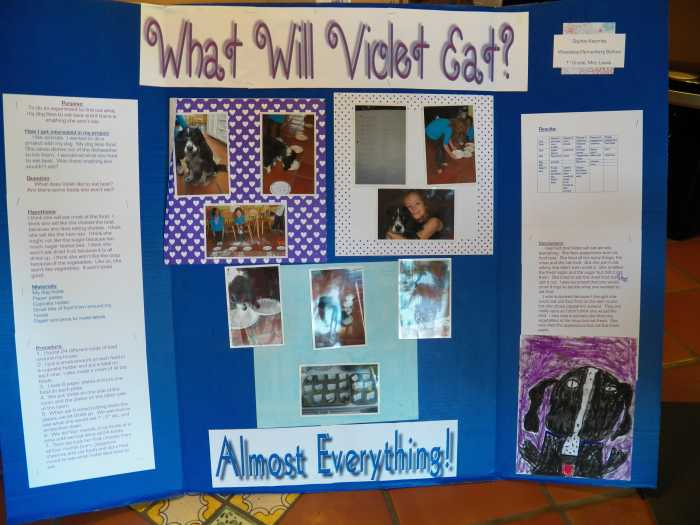 Science Project for Kids: What Will My Dog Eat? - WeHaveKids