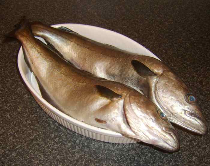 How to Fillet and Cook Pollack (With 6 Amazing Recipes) - HubPages