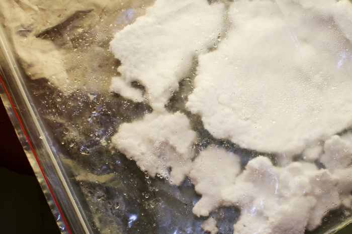 5 Ways to Use Leftover Coconut Milk Pulp and How to Store It - Delishably