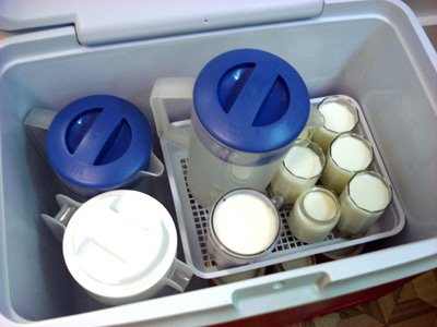 How to Make Yogurt: Step-by-Step Guide With Pictures - HubPages