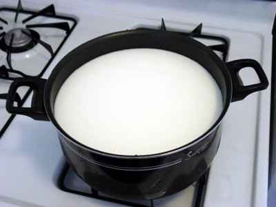 How to Make Yogurt: Step-by-Step Guide With Pictures - HubPages