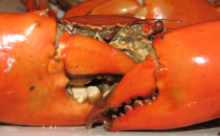 How to Cook and Eat In-the-Shell Crab - HubPages