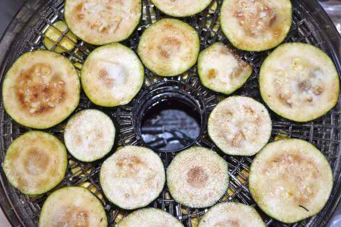 Dehydrated Zucchini Chips: Delicious and Nutritious! - HubPages