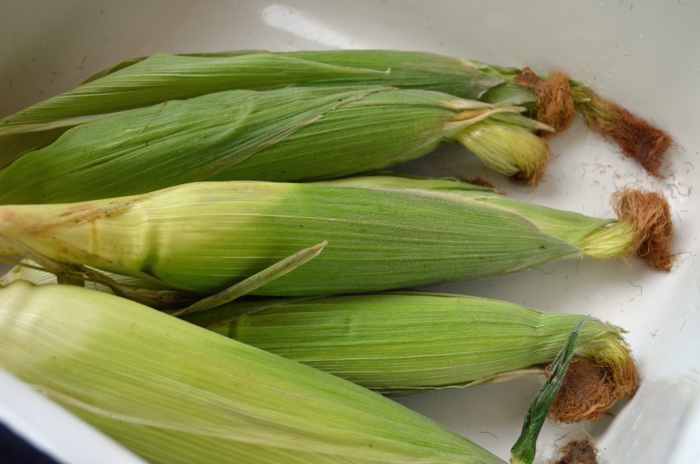 How to Make Cooler Corn: Step-by-Step Guide - HubPages