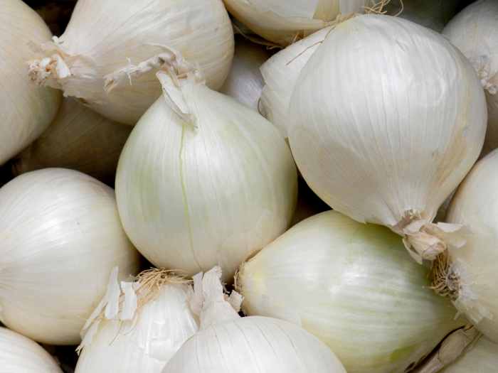 The Onion Family of Vegetables and Its History - HubPages