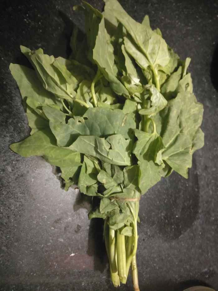 Bathua Thepla Recipe (Indian Flatbread With Bathua Leaves) - HubPages