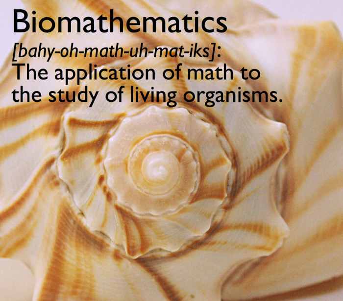 64 Branches of Biology and Their Meaning: From A to Z - Owlcation