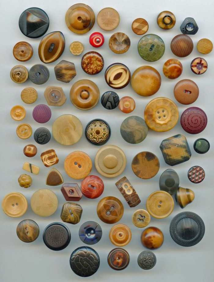 Vegetable Ivory: A Humane Alternative to Elephant Poaching - HubPages