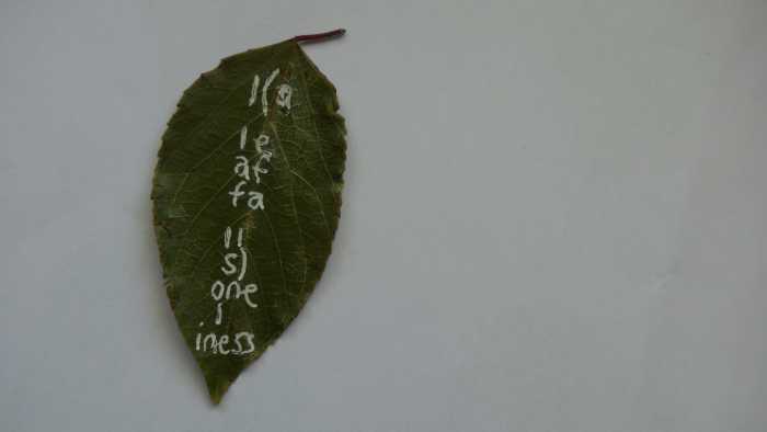 E.E. Cummings: The Power of Structure and Form - Owlcation