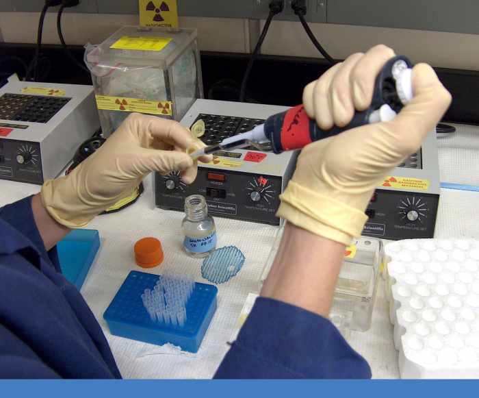 Life After Death: The Science Behind Zombie Brains - HubPages