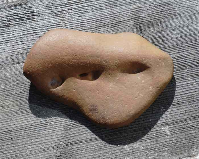 Identifying the Rocks of Lake Michigan (Geode, Septarian, Agate, and ...