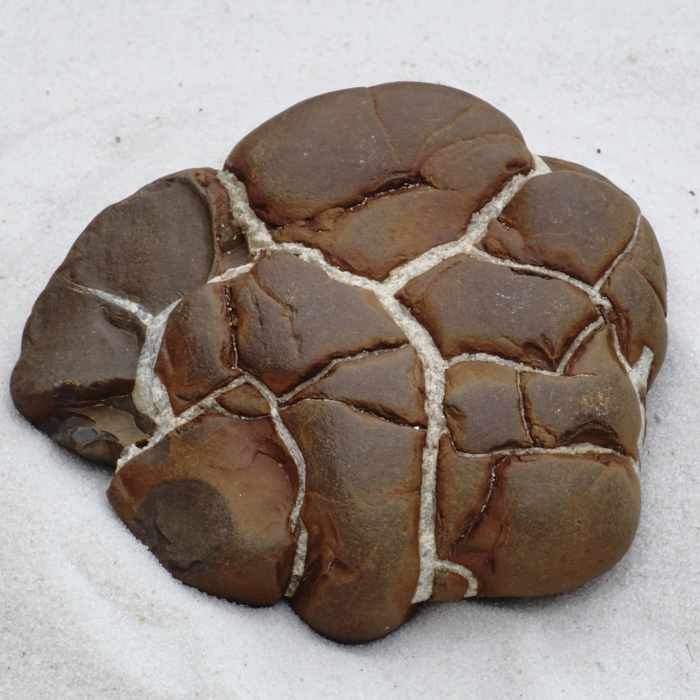 Identifying the Rocks of Lake Michigan (Geode, Septarian, Agate, and ...