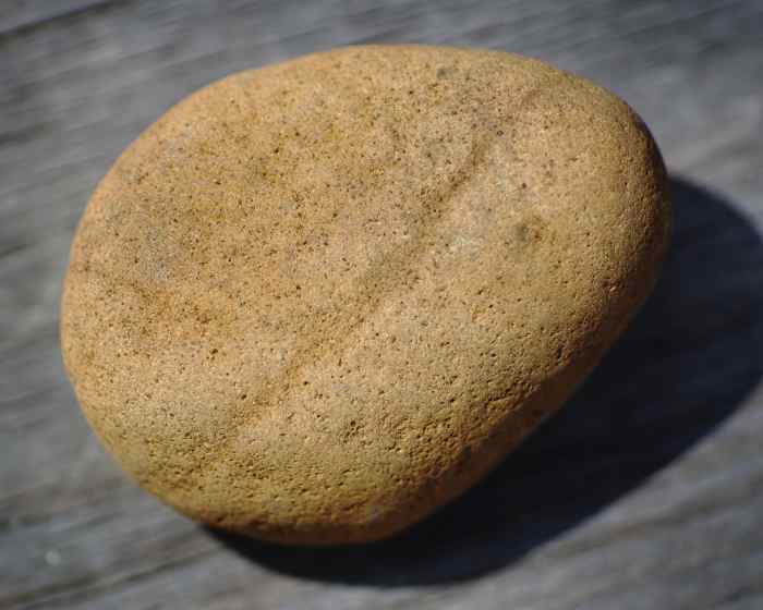 Identifying the Rocks of Lake Michigan (Geode, Septarian, Agate, and ...
