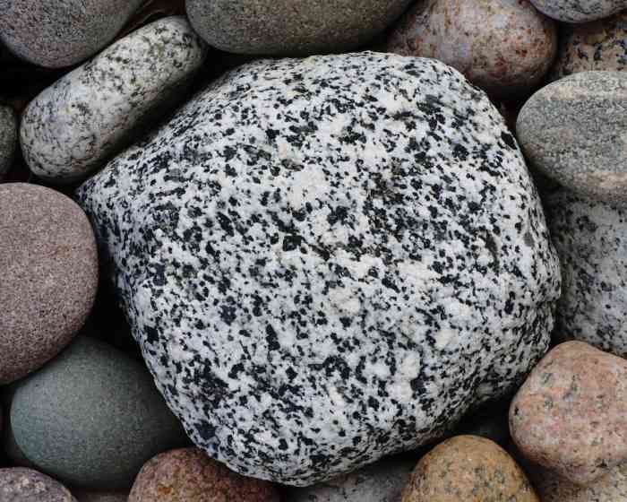 Identifying the Rocks of Lake Michigan (Geode, Septarian, Agate, and ...