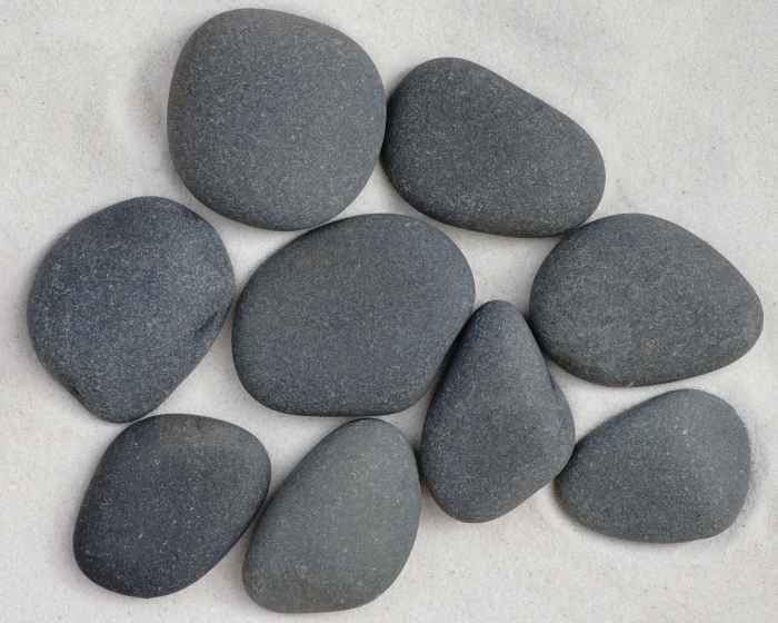 Identifying the Rocks of Lake Michigan (Geode, Septarian, Agate, and ...