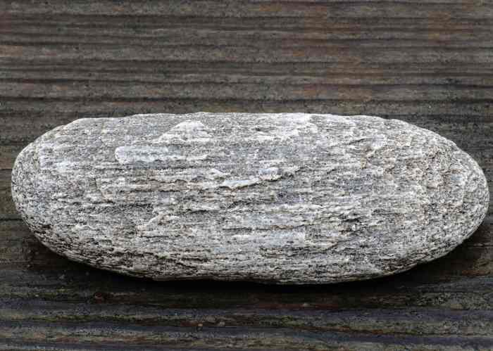 Identifying the Rocks of Lake Michigan (Geode, Septarian, Agate, and ...