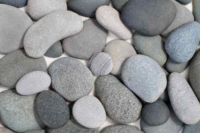 Identifying the Rocks of Lake Michigan (Geode, Septarian, Agate, and ...