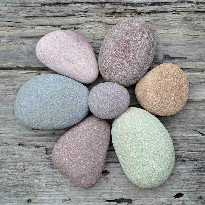 Identifying the Rocks of Lake Michigan (Geode, Septarian, Agate, and ...