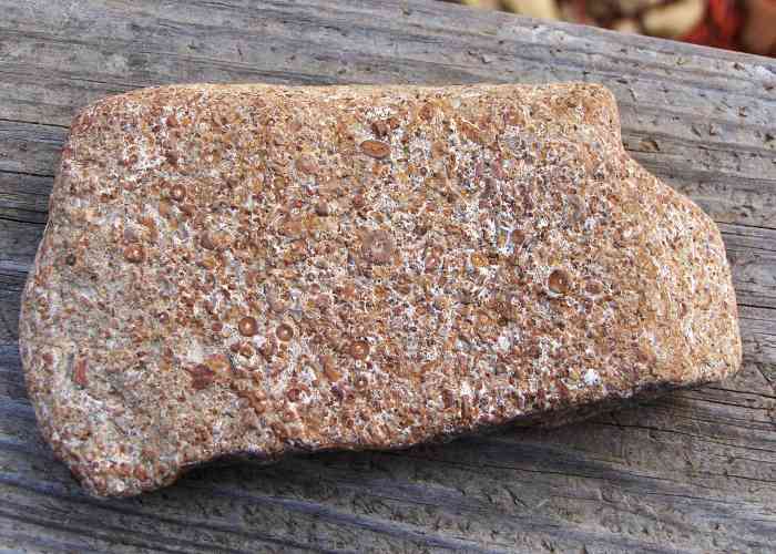 Identifying the Rocks of Lake Michigan (Geode, Septarian, Agate, and ...