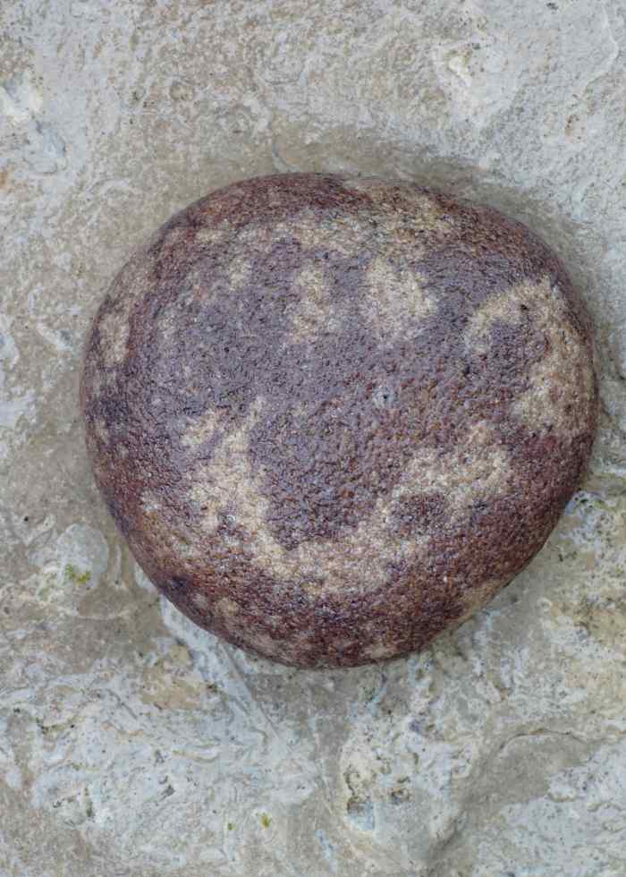 Identifying the Rocks of Lake Michigan (Geode, Septarian, Agate, and ...
