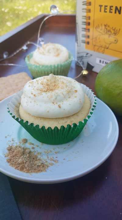 "The Field Guide to the North American Teenager" Book Discussion and ...