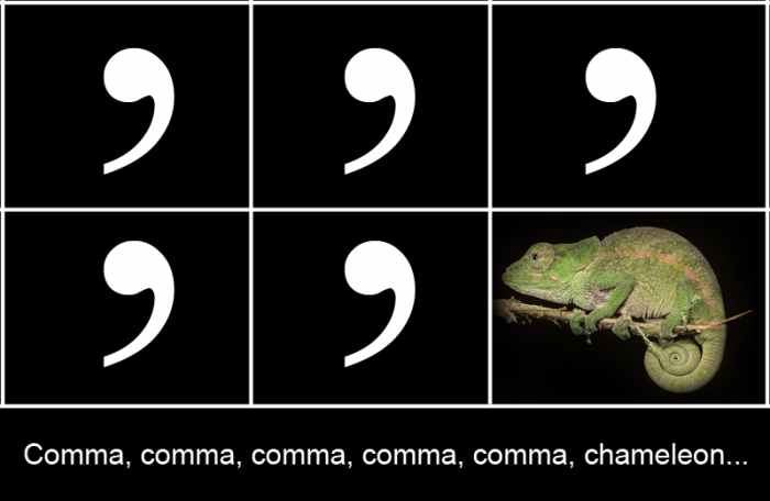 Writing Tips: How and When to Use a Comma - HubPages
