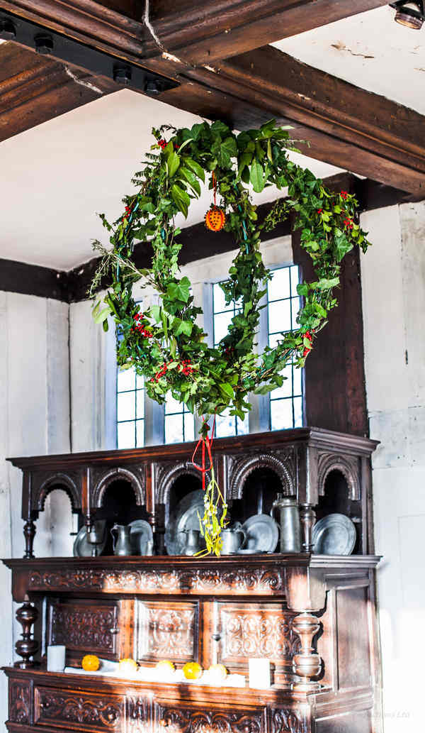 The Magic of Mistletoe: Customs, Lore, and Superstitions of This ...
