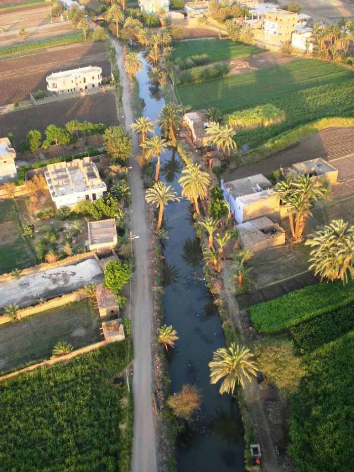 A Review of "Under Osman's Tree," a Book About Egypt in Transition ...