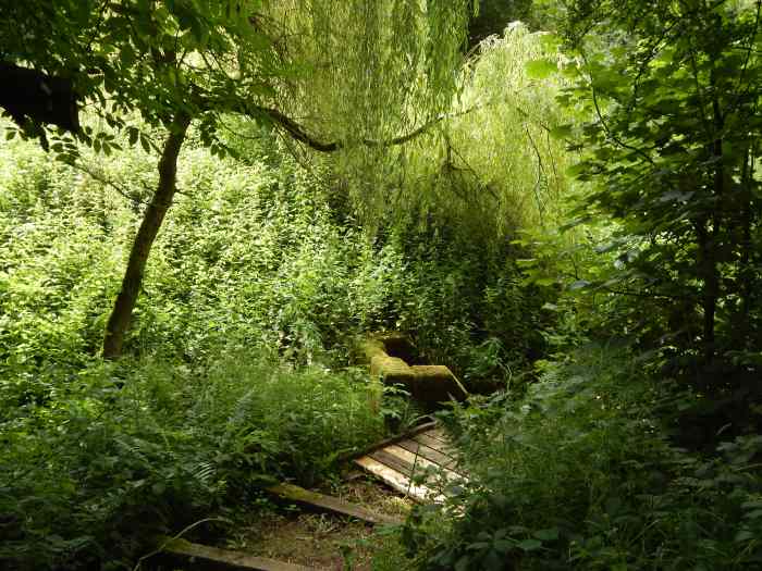 The Legend of Saint Kenelm's Holy Well - HubPages